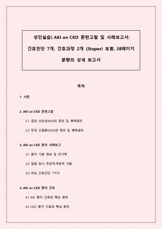 성인실습) AKI on CKD 문헌고찰 및 사례보고서: 간호진단 7개, 간호과정 2개 (Stupor) 포함, 38페이지 분량의 상세 보고서